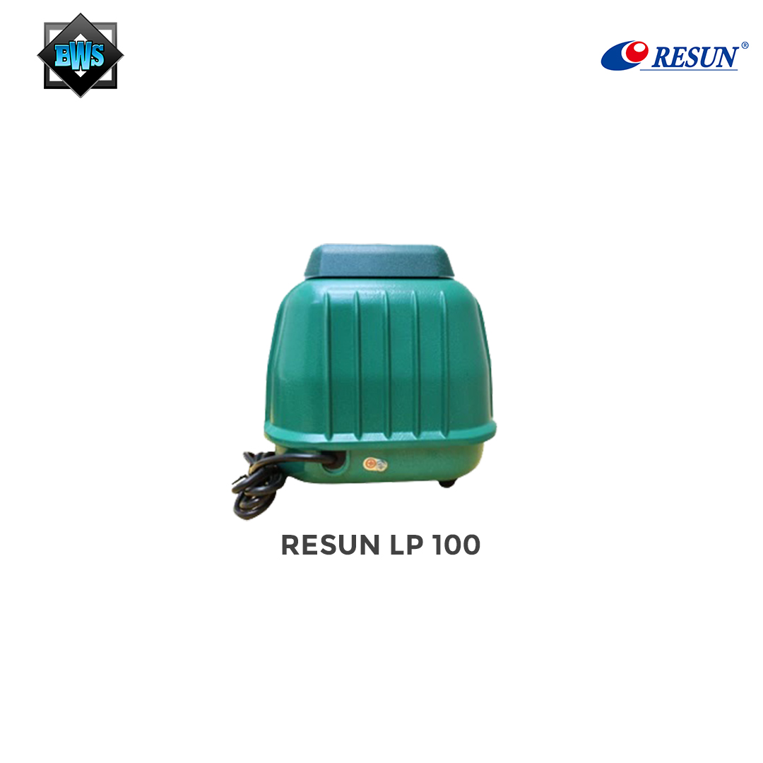 Resun Air Pump